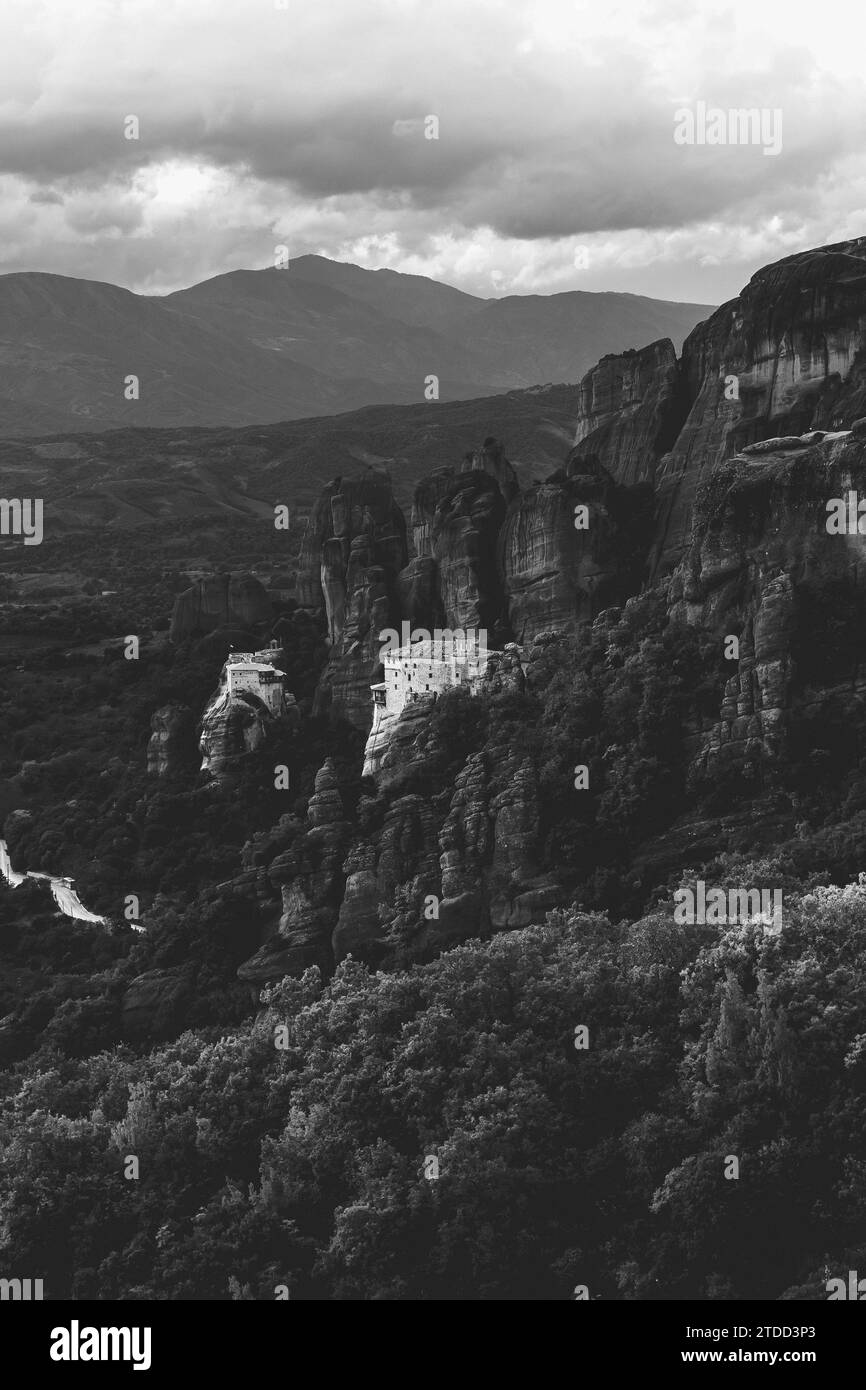 Beautiful forest scenery sunlight Black and White Stock Photos & Images ...