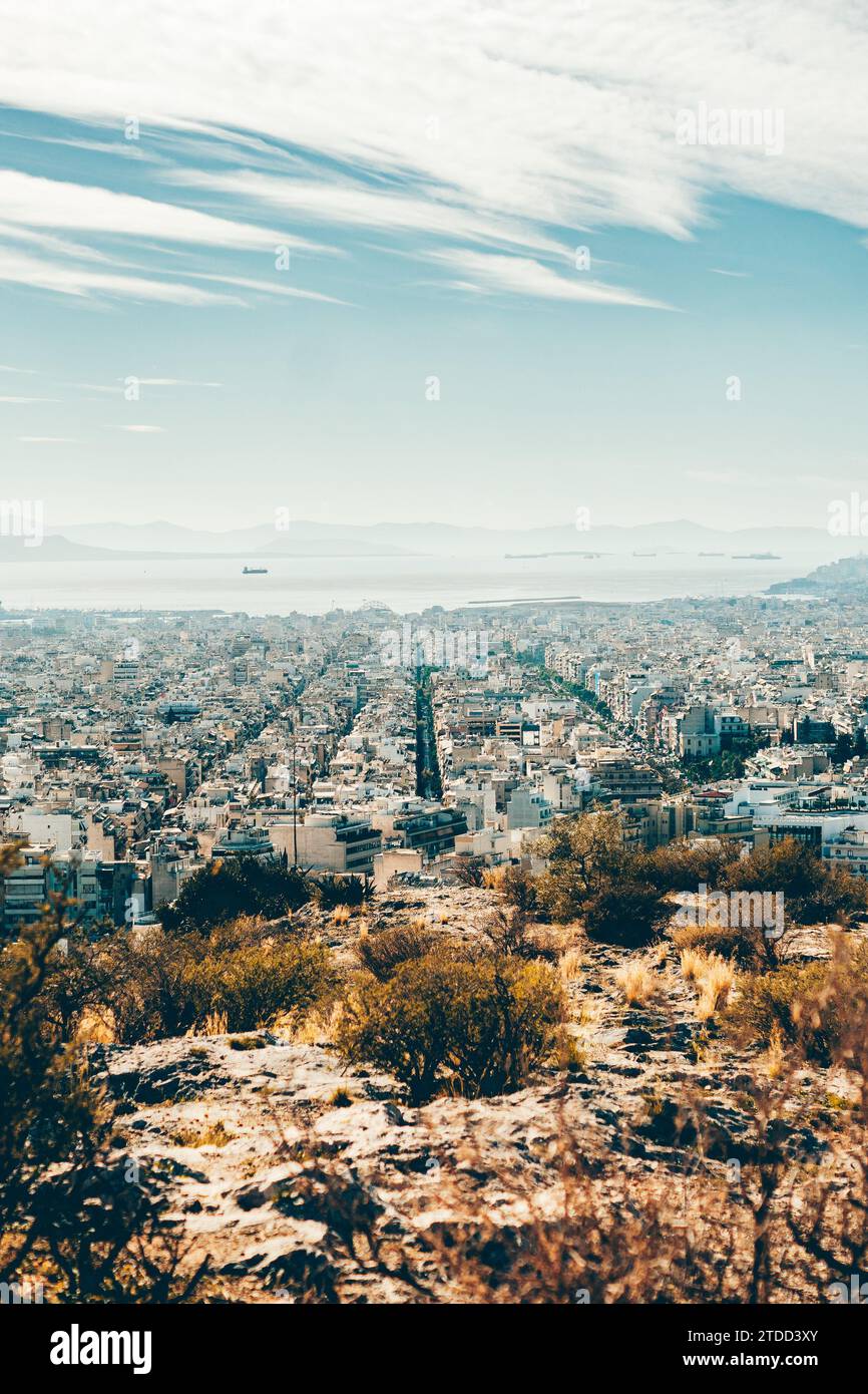 Forest geography hi-res stock photography and images - Alamy