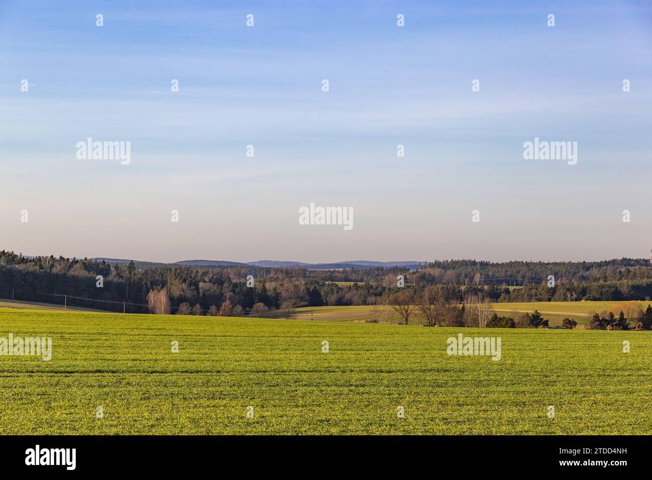 Snowless winter in central Europe. Landscape with green hills Stock ...