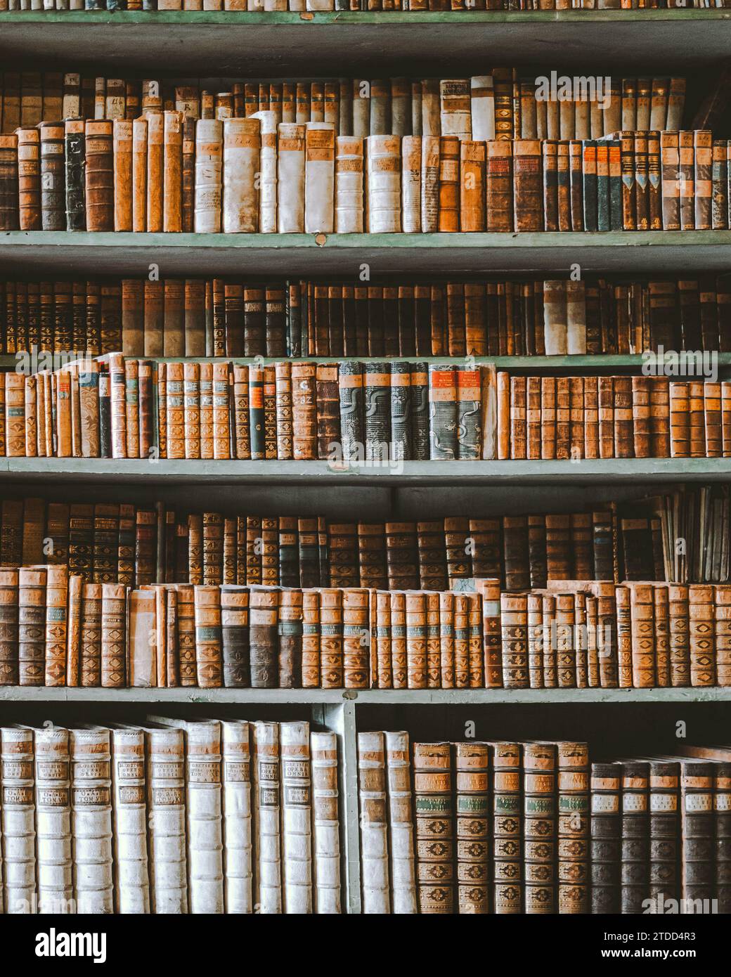 Library Book Academia University Reading Stock Photo - Alamy