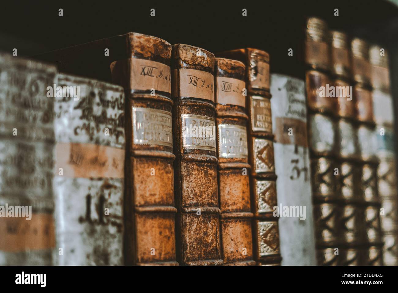 Library Book Academia University Reading Stock Photo - Alamy