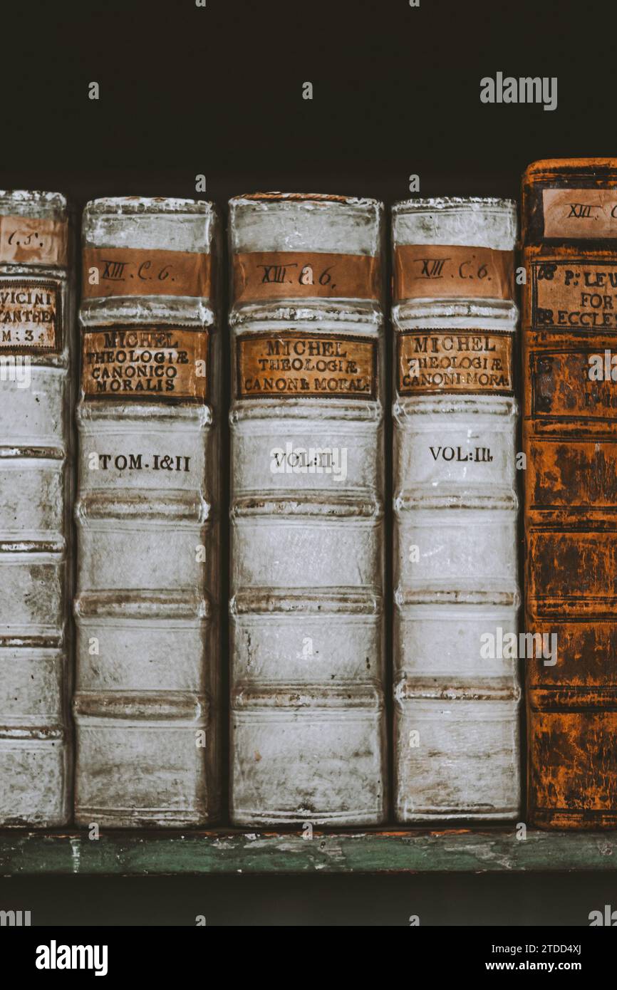 Library Book Academia University Reading Stock Photo - Alamy