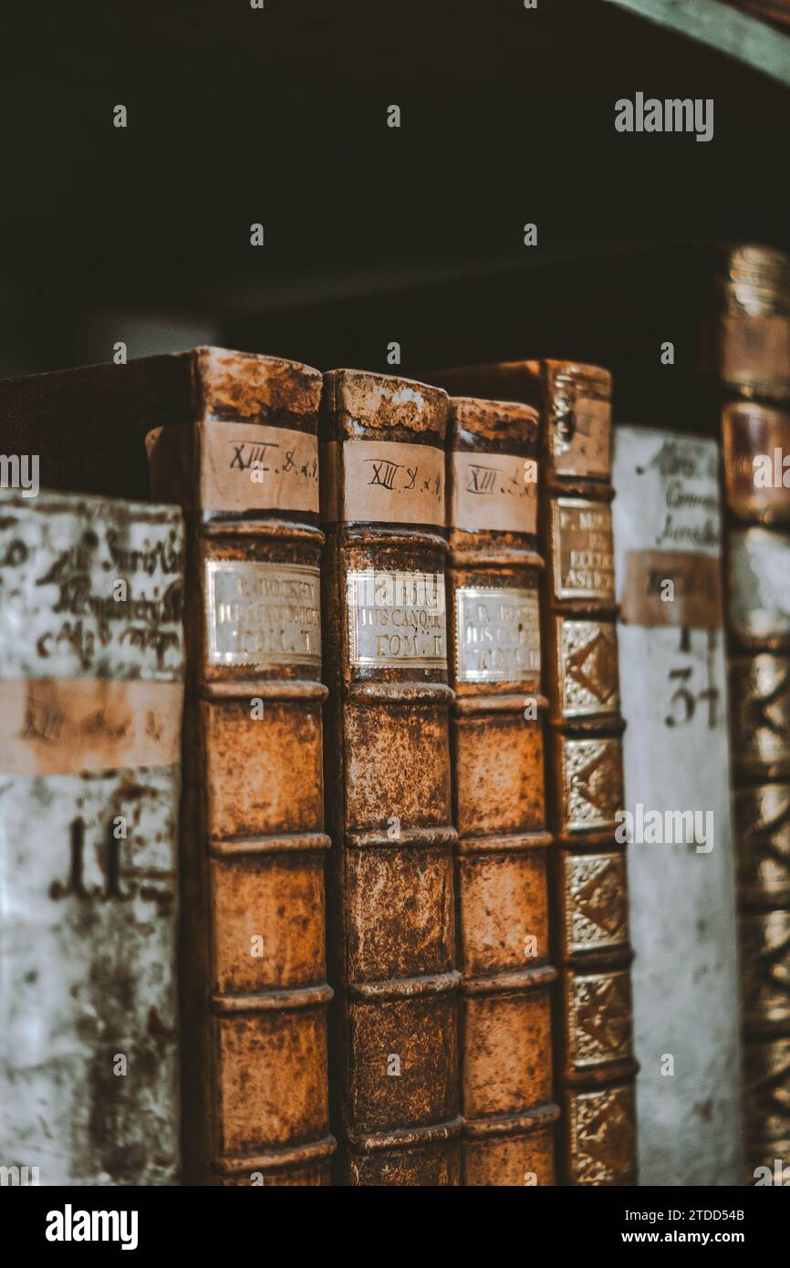 Library Book Academia University Reading Stock Photo - Alamy