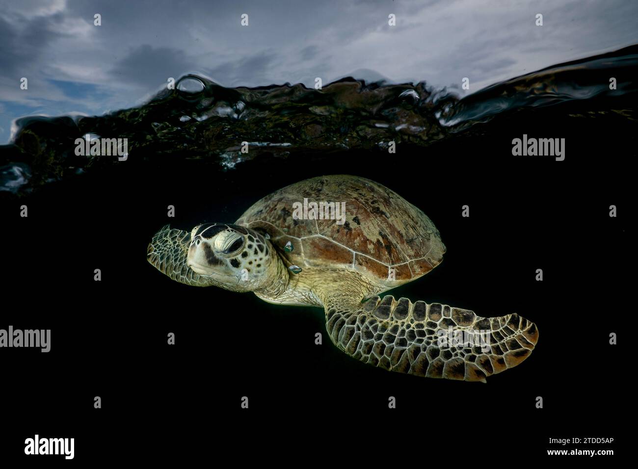 Aerial vision of lagoon hi-res stock photography and images - Alamy