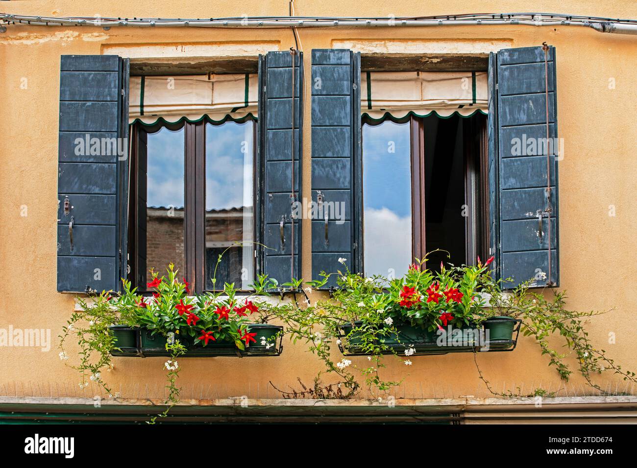 beautiful old windows with a balcony with fresh geranium flowers in ...