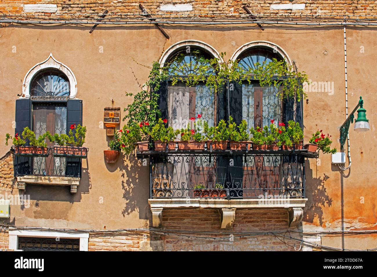 beautiful old windows with a balcony with fresh geranium flowers in ...
