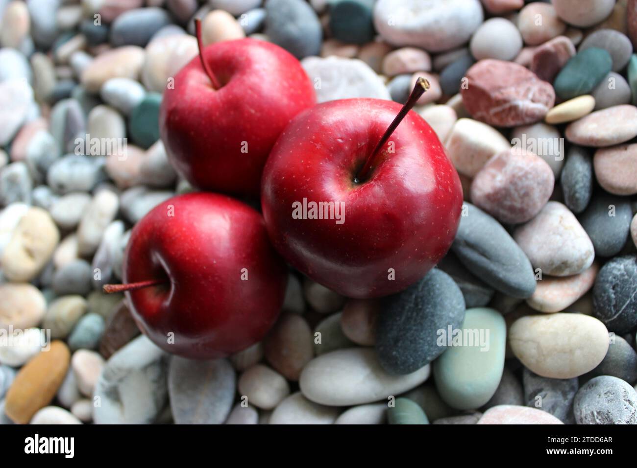 Three Red Juicy Apples On A Small Sea Rocks Closeup Stock Photo Stock ...
