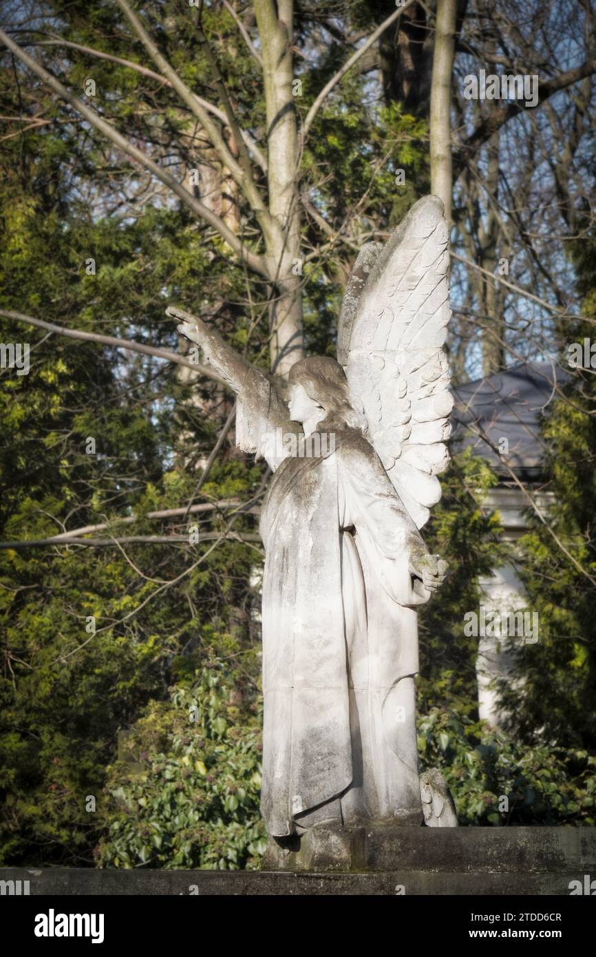 Poland, Warsaw: Statue of an angel at the Powazki Cemetery, the oldest ...