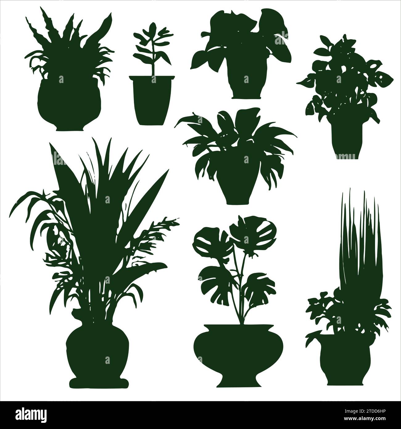 Collection silhouettes houseplants. Potted plants isolated on white ...