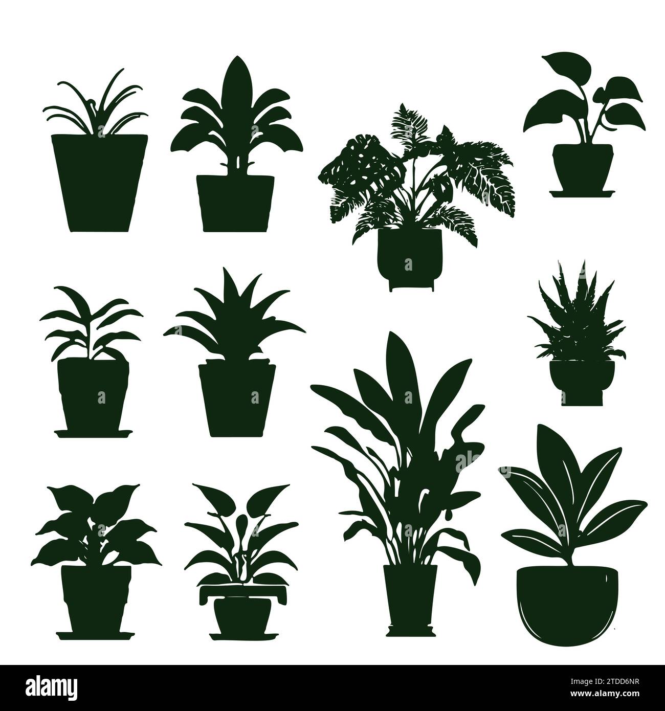 Set different potted houseplants silhouettes. Indoor flowers or plants ...