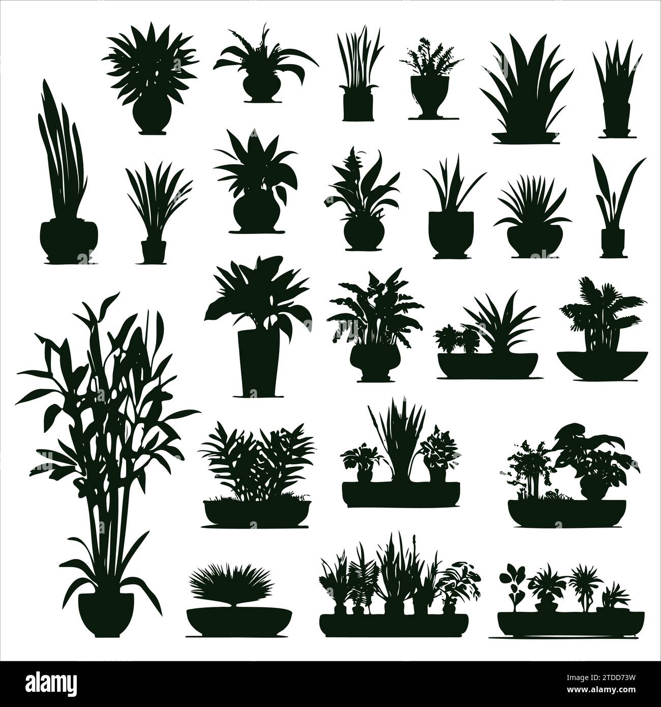 Set different potted houseplants silhouettes. Indoor flowers or plants ...