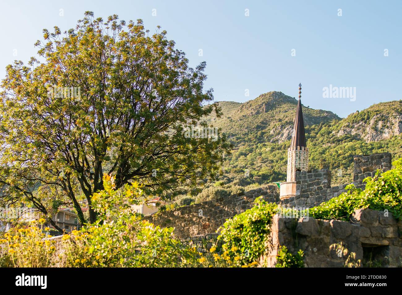 Stari Bar Old Bar town in Montenegro. View of the city mosque minaret ...