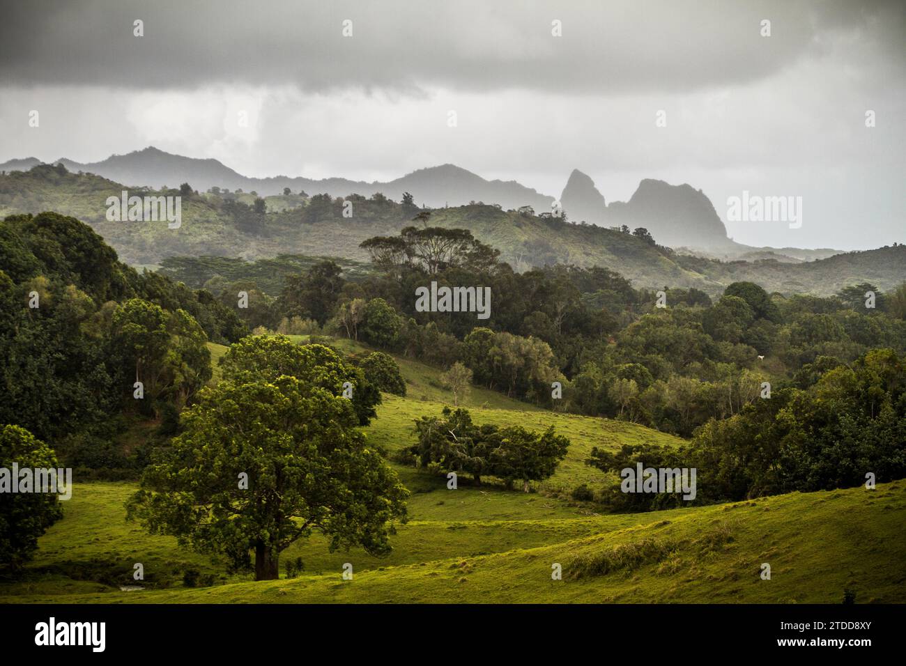 Distant green hills hi-res stock photography and images - Alamy