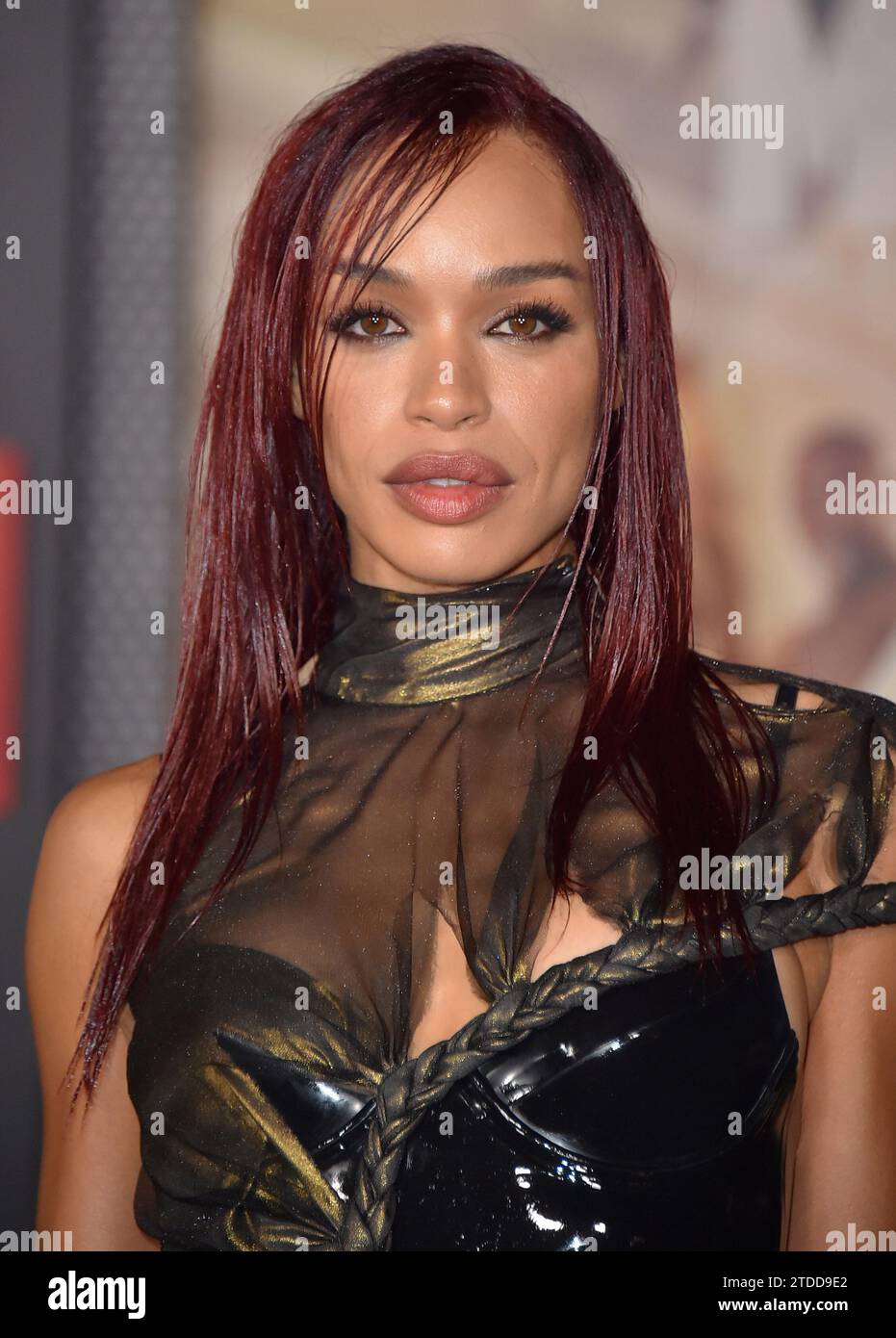 Cleopatra Coleman attends the premiere of "Rebel Moon - Part One: A ...