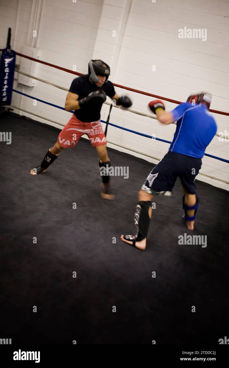 Ultimate Fighters sparing Stock Photo - Alamy