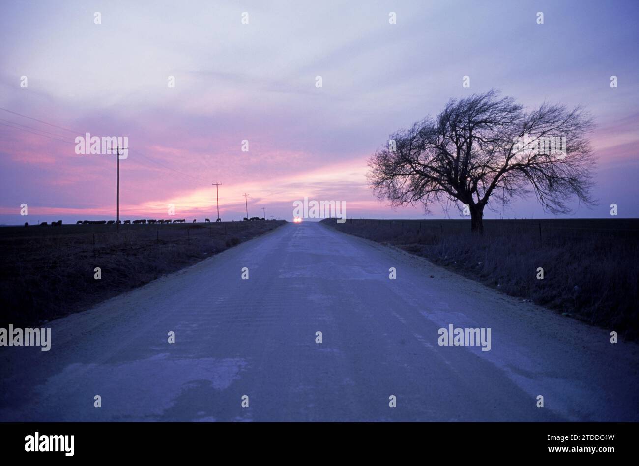 A lonely stretch of road in Oklahoma, USA Stock Photo - Alamy