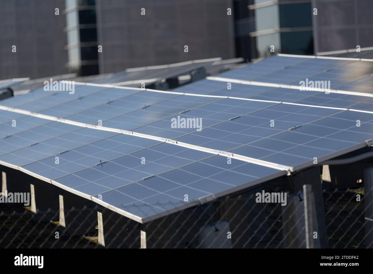 Solar panels at the Móstoles technology complex, on December 15, 2023 ...