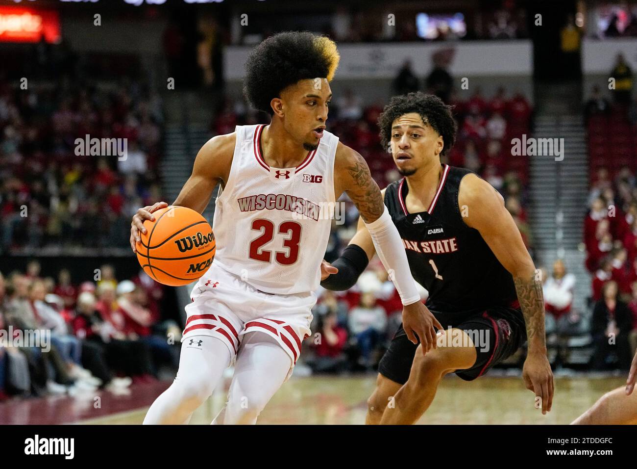 Wisconsin's Chucky Hepburn (23) against Jacksonville State's Quincy ...