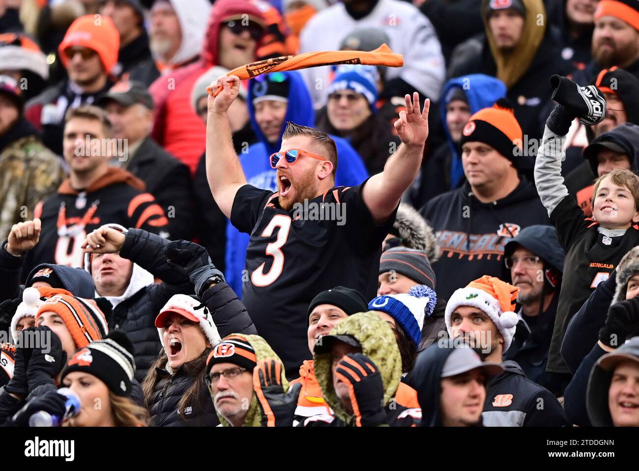 Cincinnati Bengals fans during an NFL football game against the ...