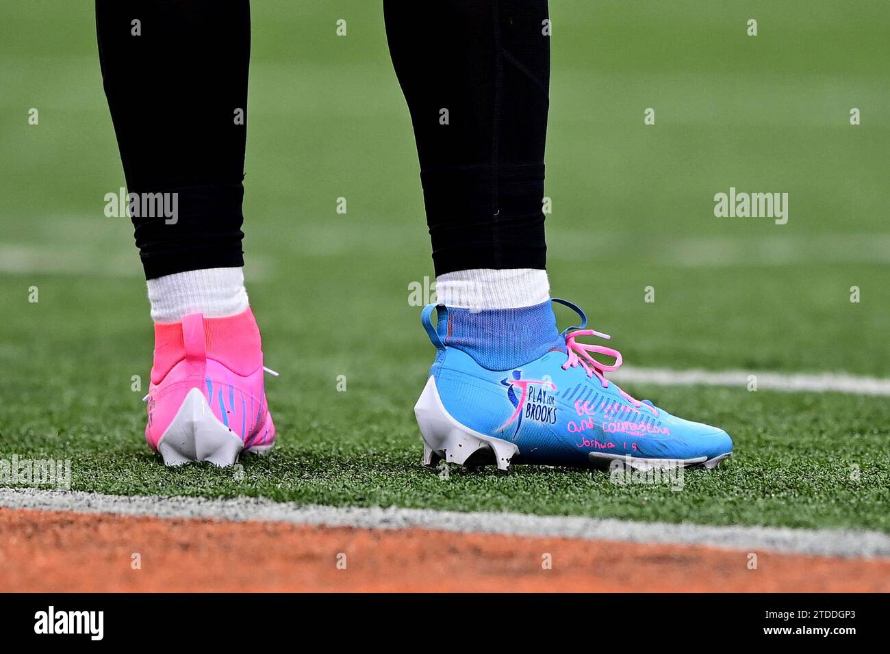 Cincinnati Bengals linebacker Logan Wilson (55) cleats during an NFL ...