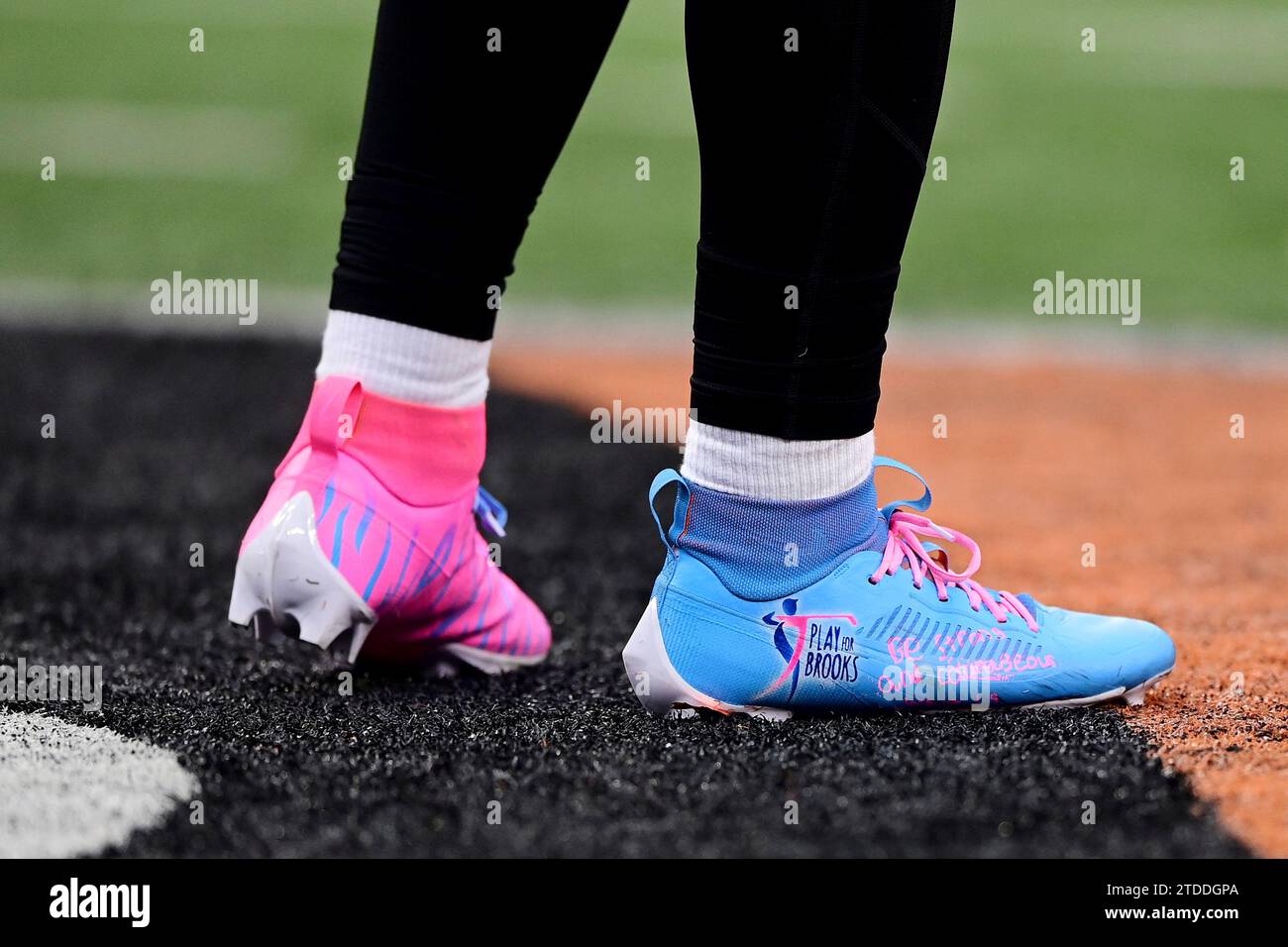 Cincinnati Bengals linebacker Logan Wilson (55) cleats during an NFL ...