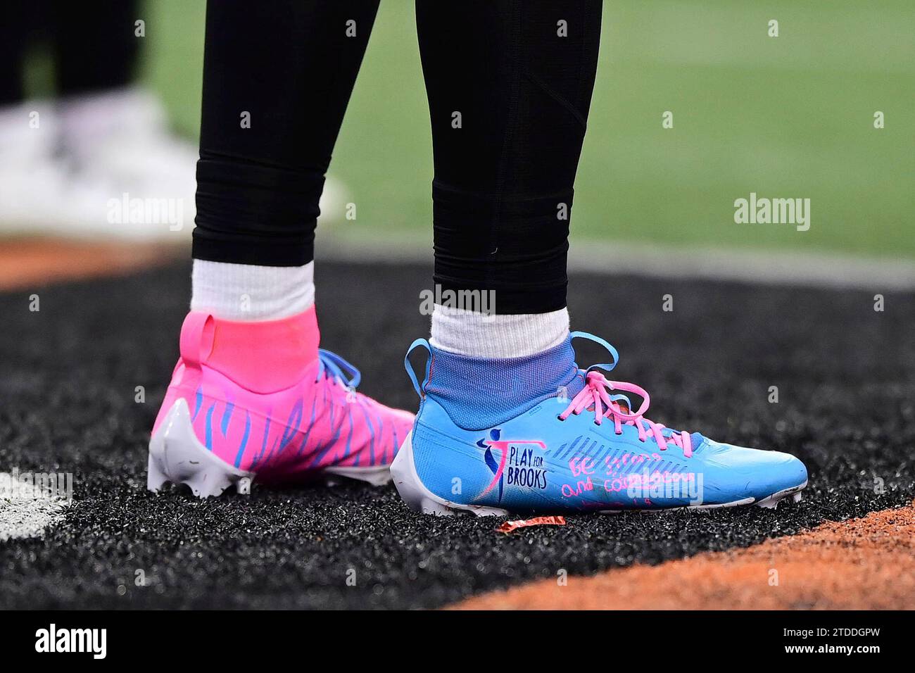 Cincinnati Bengals linebacker Logan Wilson (55) cleats during an NFL ...