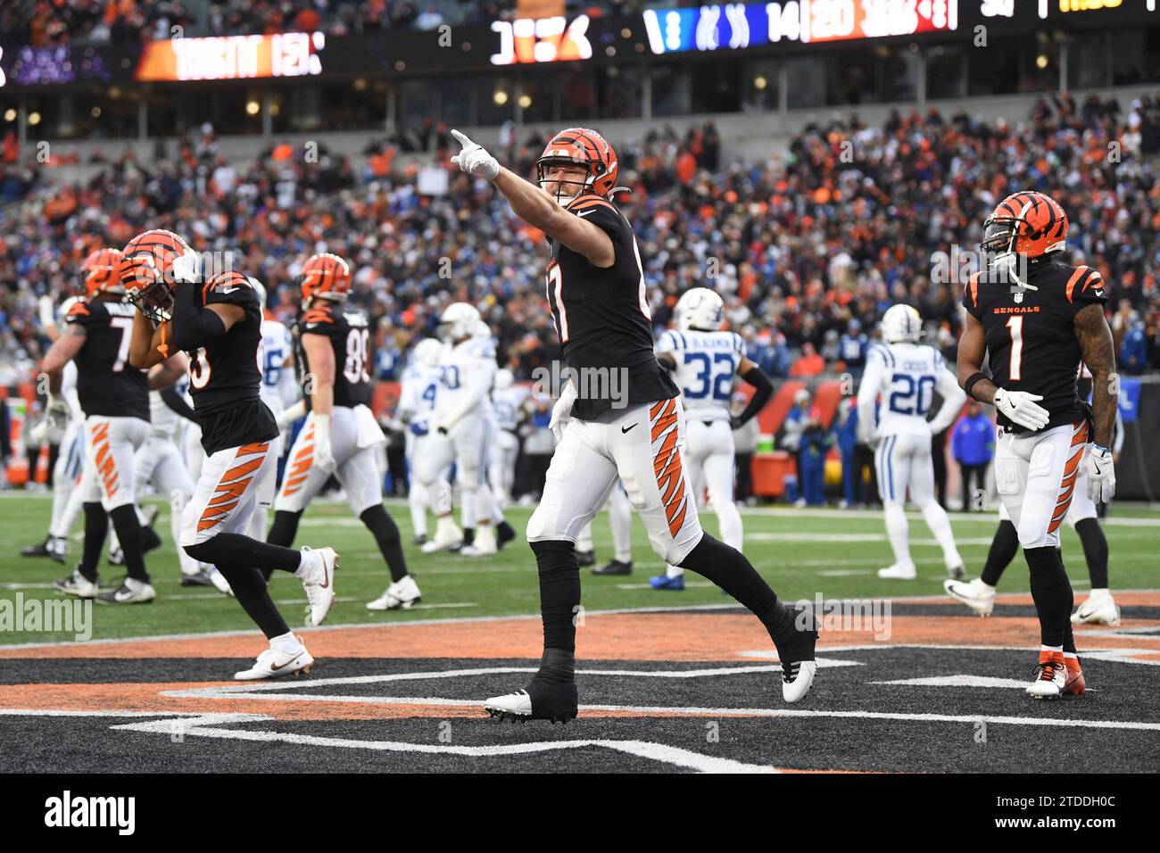 Cincinnati Bengals tight end Tanner Hudson (87) celebrates his ...