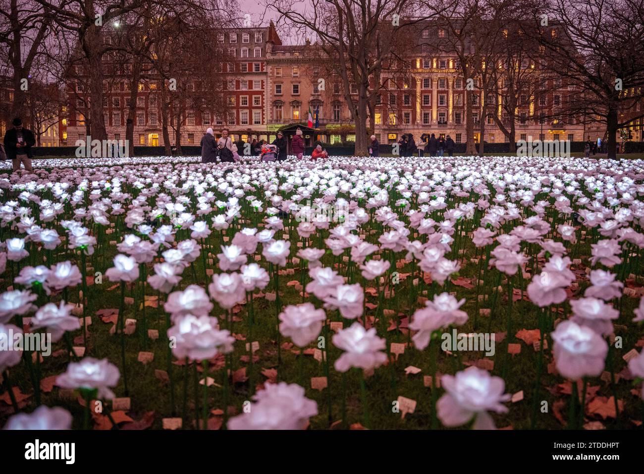 People take photos of illuminated white roses in an installation dubbed ...