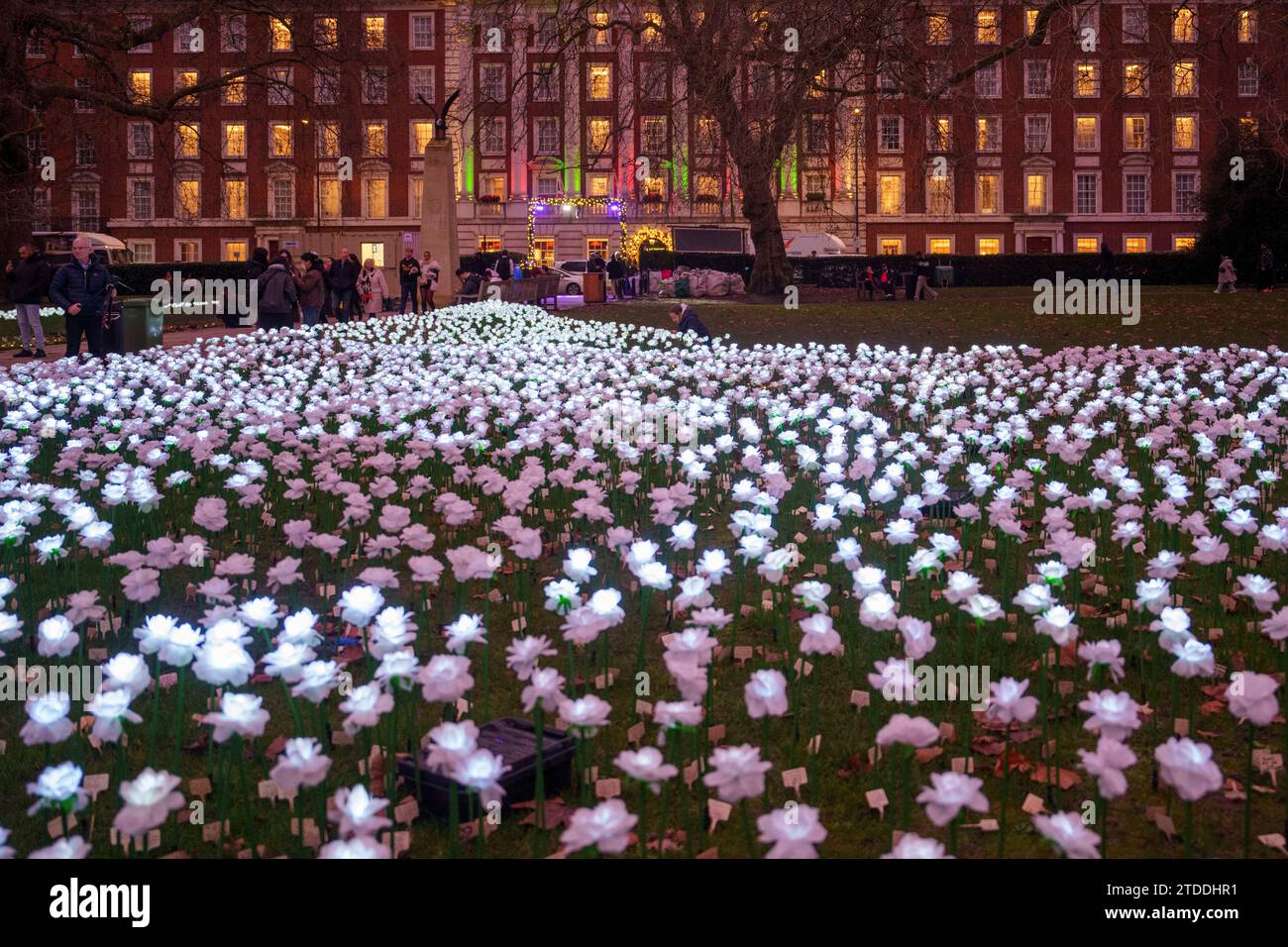 People take photos of illuminated white roses in an installation dubbed ...