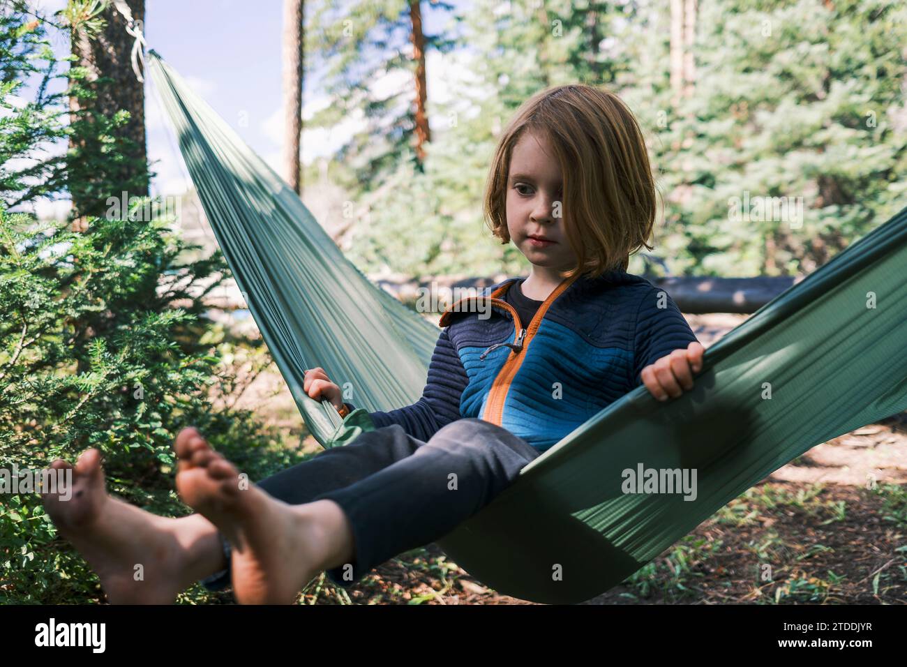 Relaxing day in nature sitting in a hammock Stock Photo - Alamy