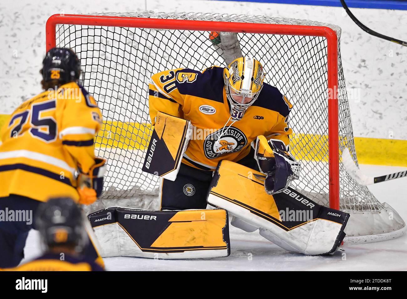 Canisius goalie Ethan Robertson (30) makes a save during the second ...