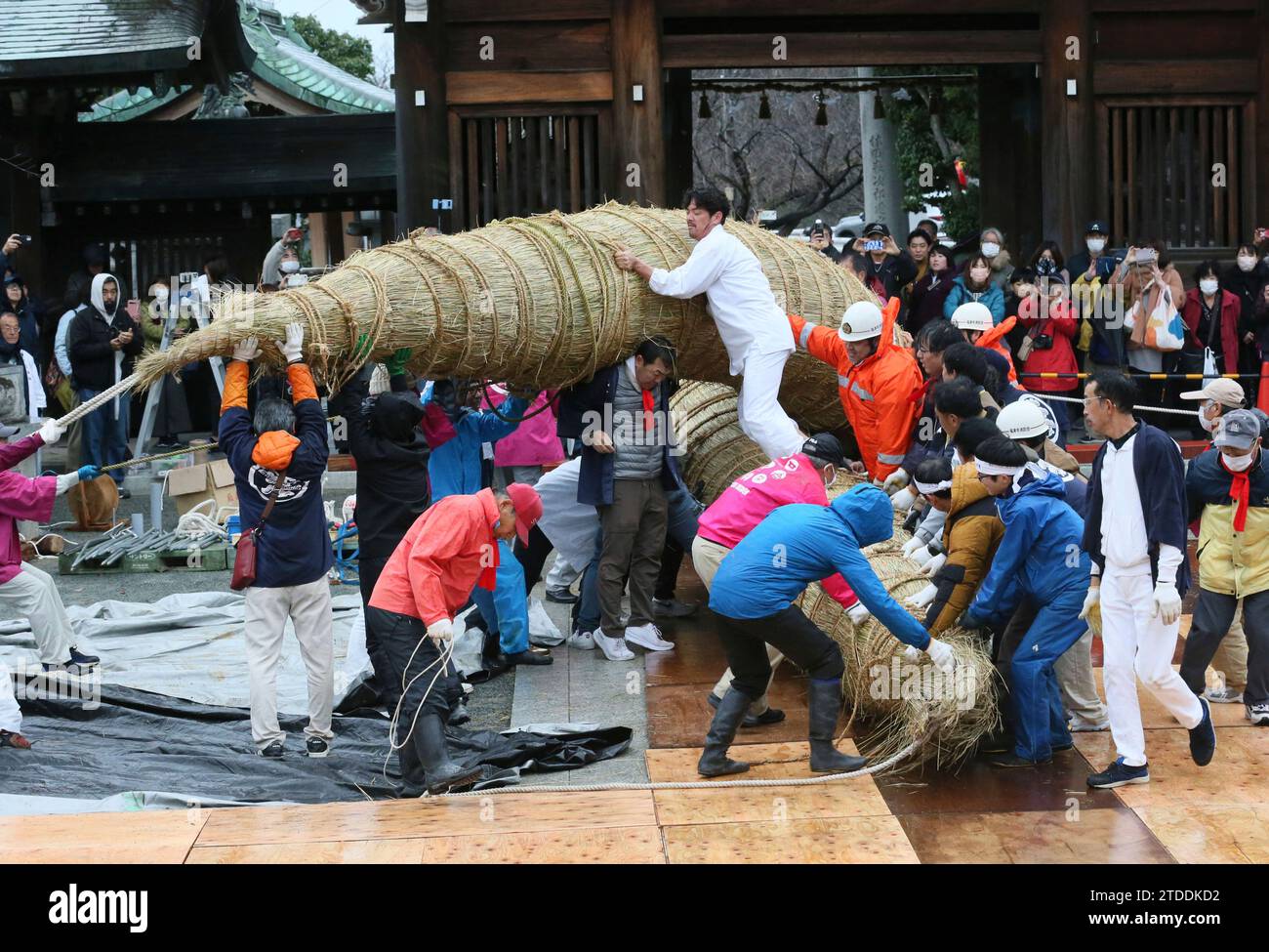 People make a largest sacred straw rope during an annual event at ...