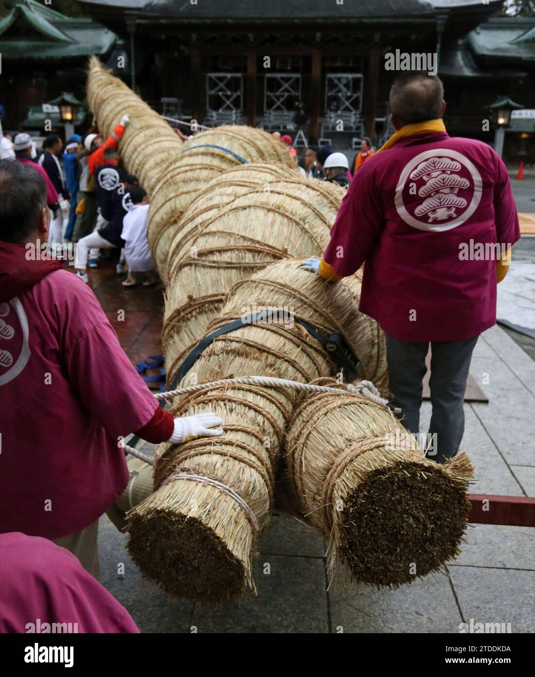 People make a largest sacred straw rope during an annual event at ...