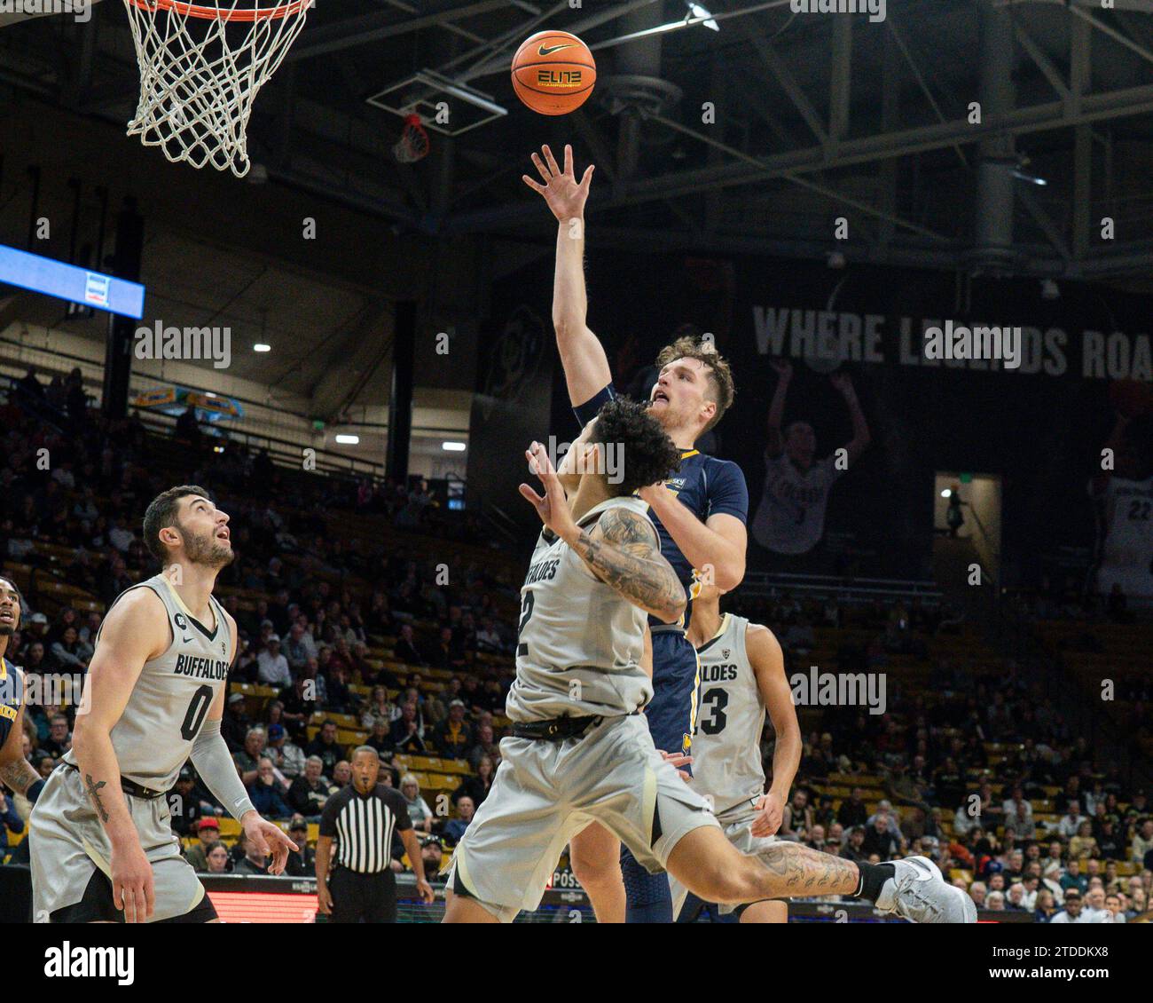 December 15, 2023: Northern Colorado Bears guard Connor Creech (12 ...