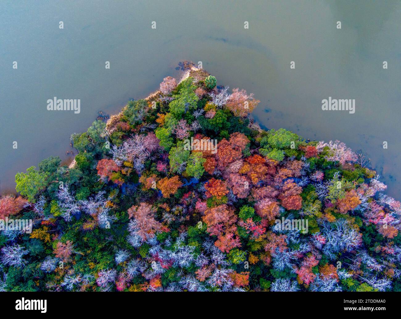 Daphne, Alabama waterfront at sunset in November Stock Photo - Alamy