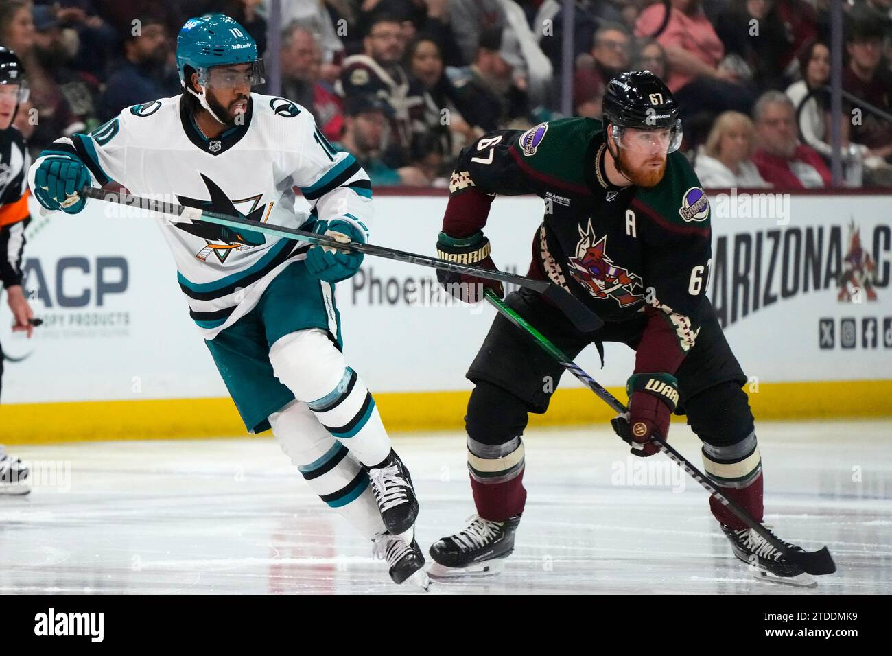 Arizona Coyotes left wing Lawson Crouse (67) and San Jose Sharks left ...