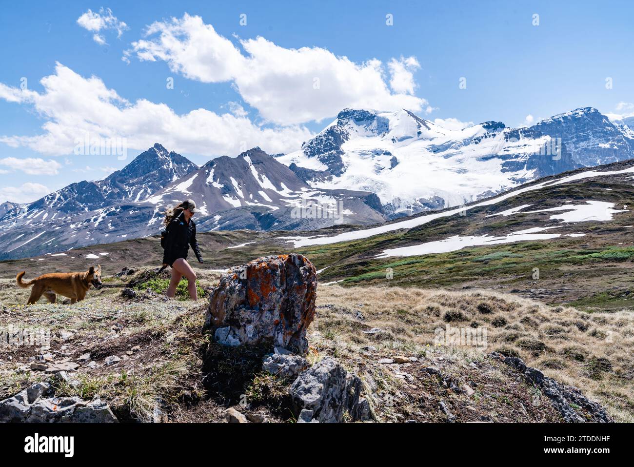 Love at wilcox pass hi-res stock photography and images - Alamy