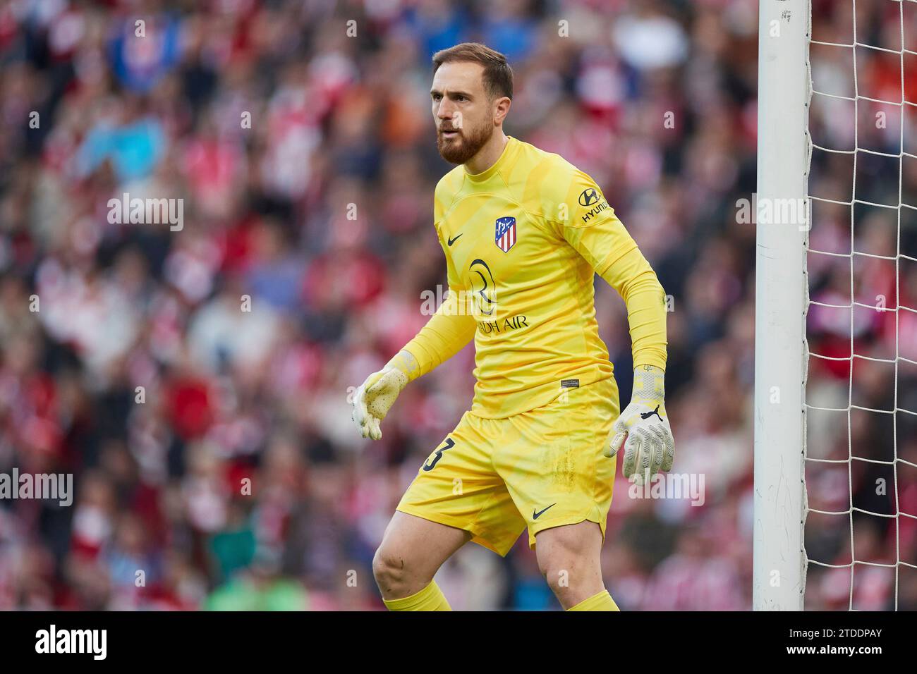 Jan Oblak of Atletico de Madrid looks on during the LaLiga EA Sports ...