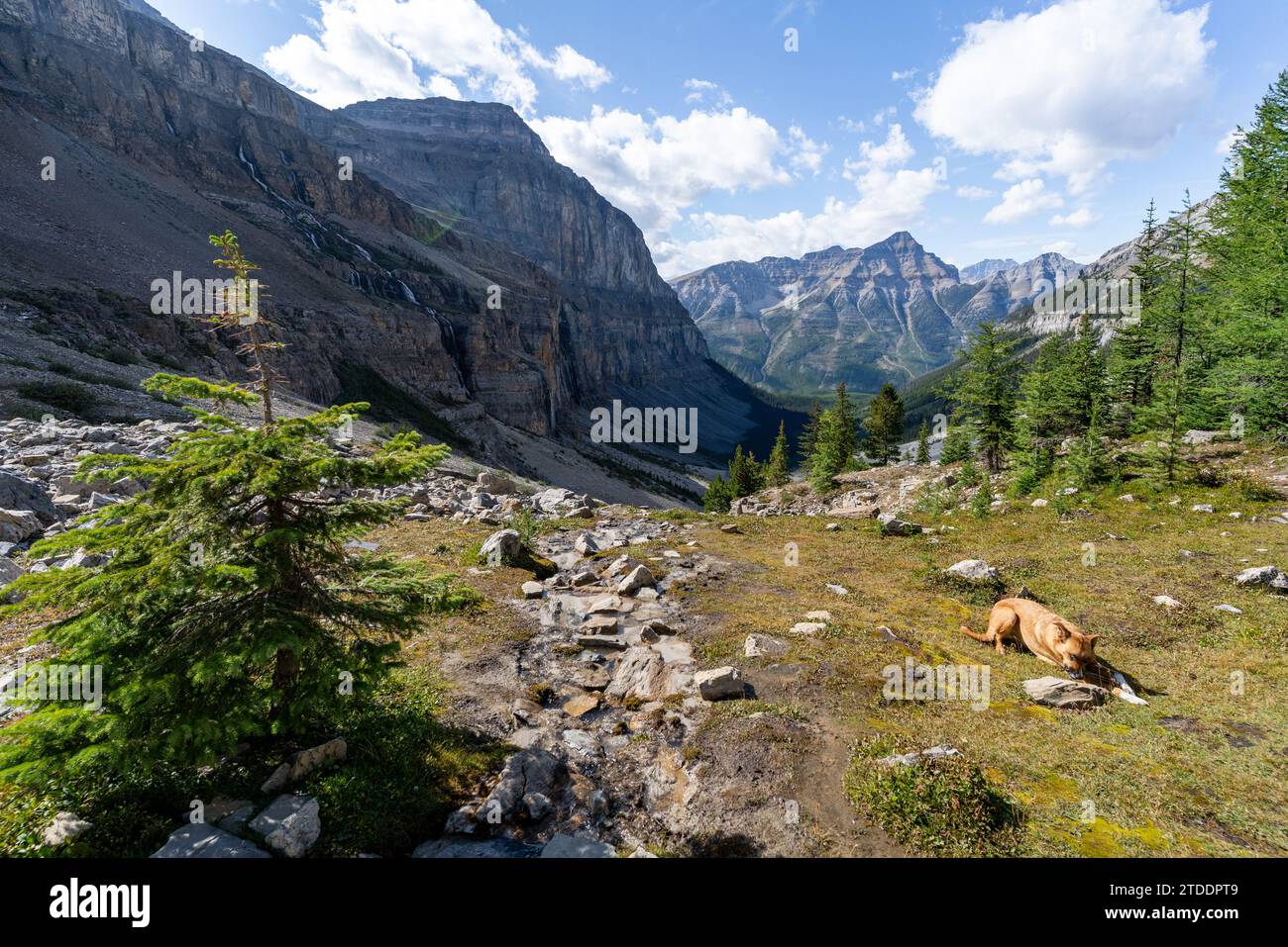 Stunning Valley In Beautiful British Columbia Stock Photo - Alamy