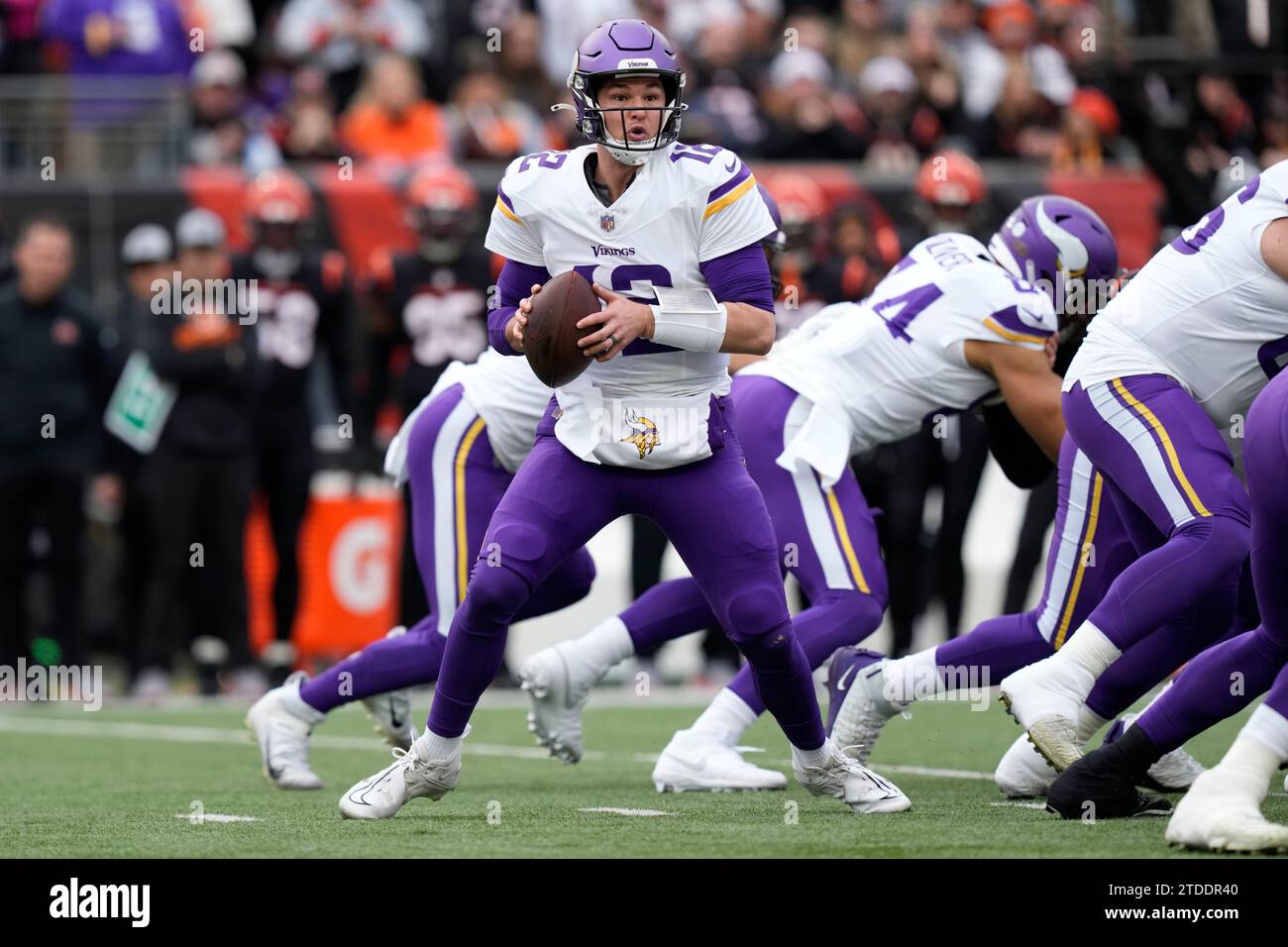 Minnesota Vikings quarterback Nick Mullens prepares to throw during the ...