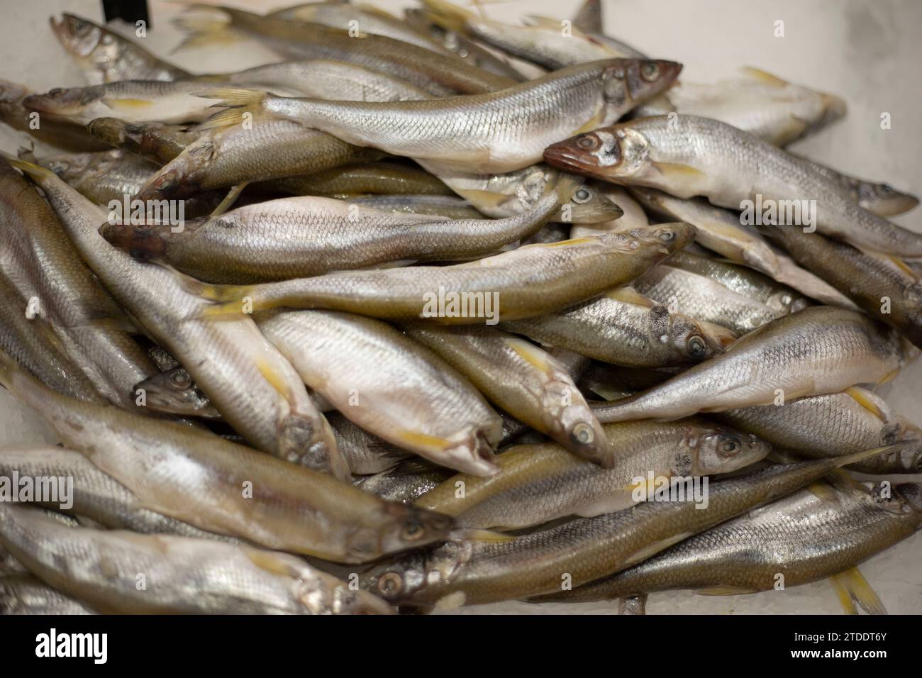 Frozen seafood box hi-res stock photography and images - Alamy