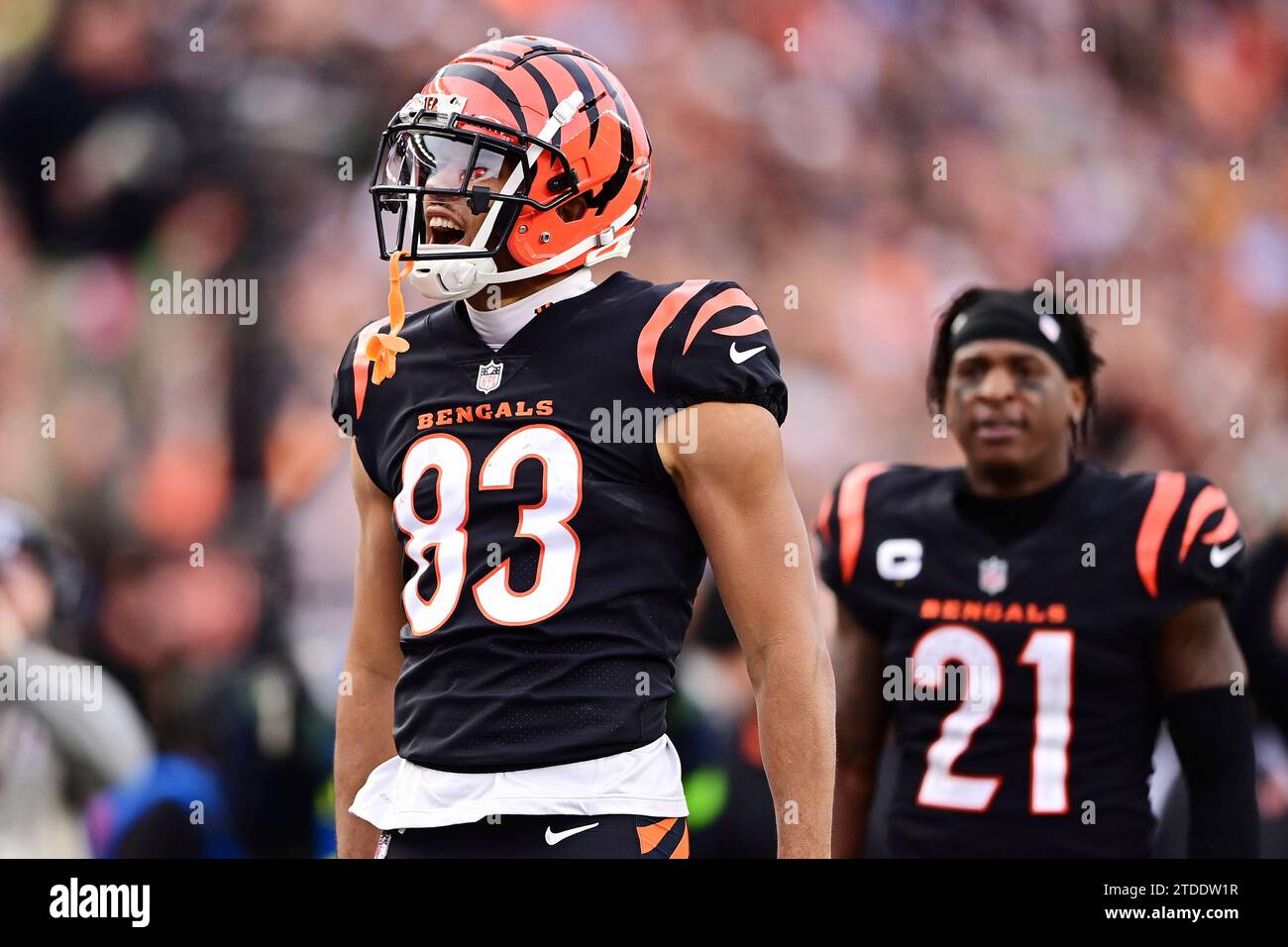 Cincinnati Bengals wide receiver Tyler Boyd (83) celebrates after ...