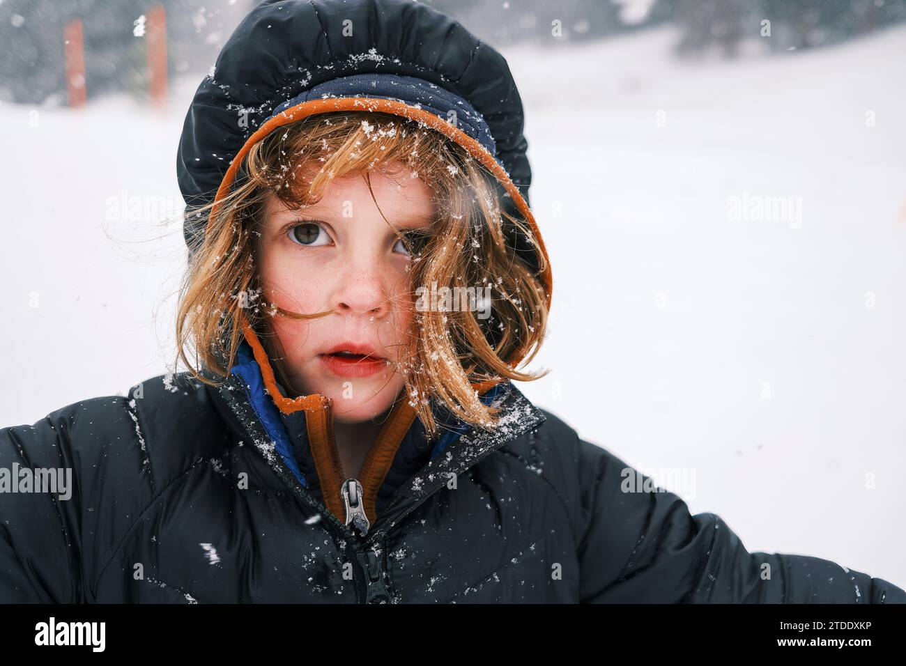 Red-haired girl wearing warm clothing in the snow Stock Photo - Alamy