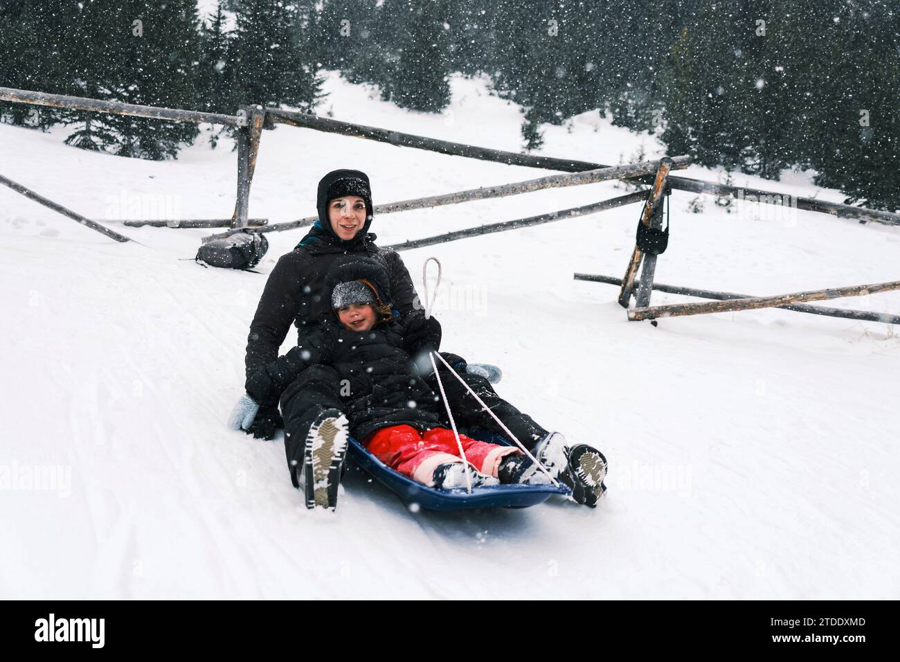 Mother and child having fun sledding in the snow Stock Photo - Alamy