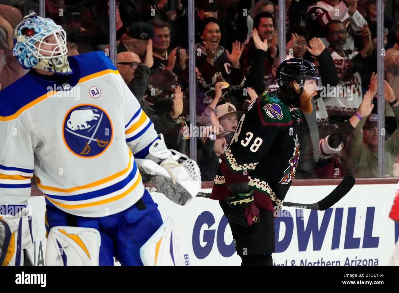 Arizona Coyotes center Liam O'Brien (38) celebrates after his goal ...