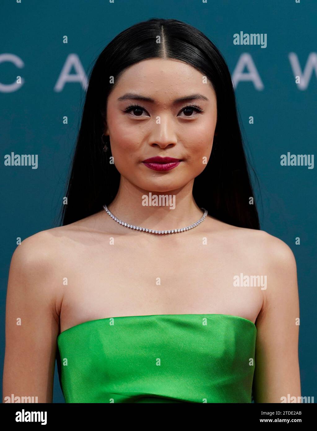 Ashley Liao poses at the 21st Annual Asian American Awards at the ...