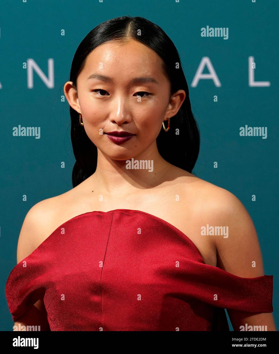 Ji-Young Yoo poses at the 21st Annual Asian American Awards at the Beverly Hilton, Saturday, Dec ...
