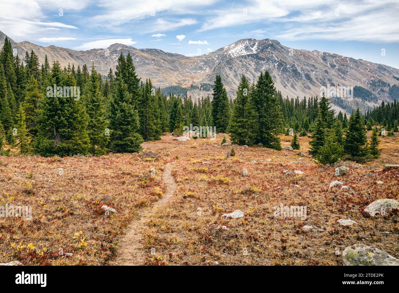 Hiking trail in the Collegiate Peaks Wilderness, Colorado Stock Photo ...