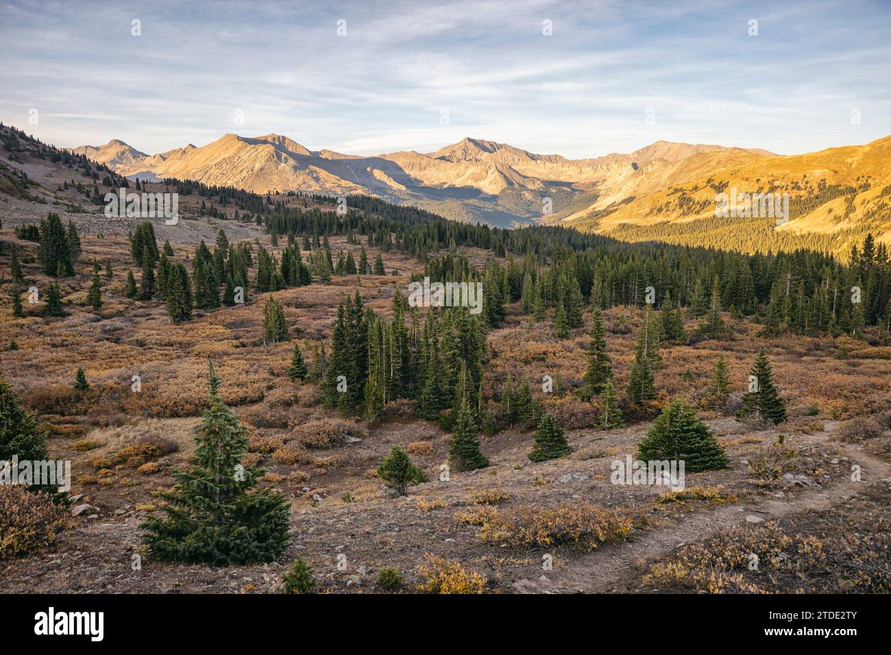Evening landscape in the Collegiate Peaks Wilderness, Colorado Stock ...