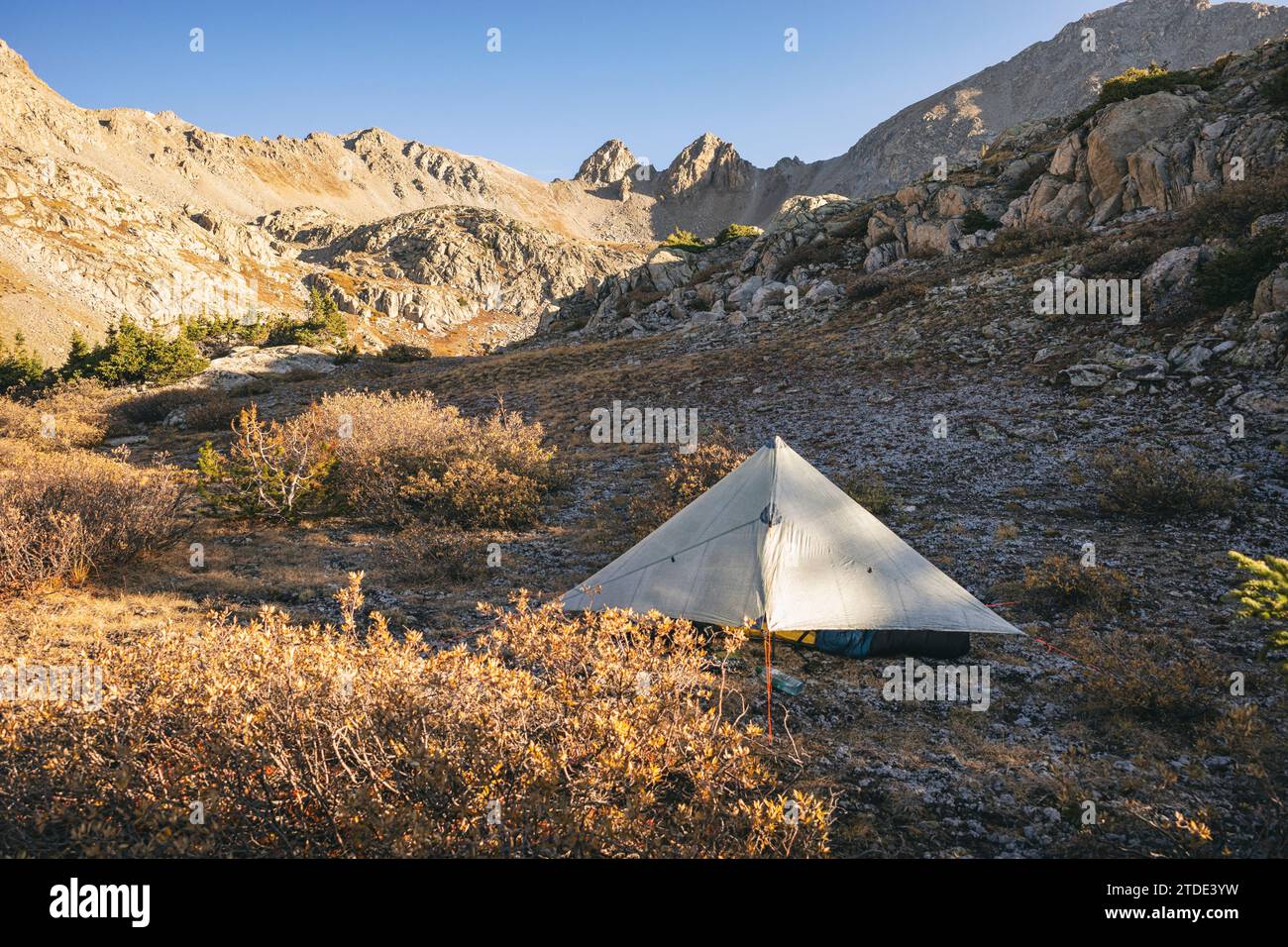 Camping in the Collegiate Peaks Wilderness, Colorado Stock Photo - Alamy